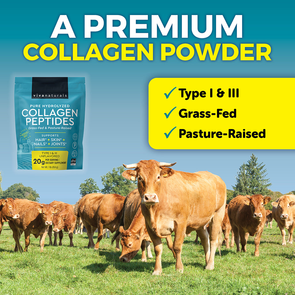 Viva Naturals Bovine Collagen Peptides