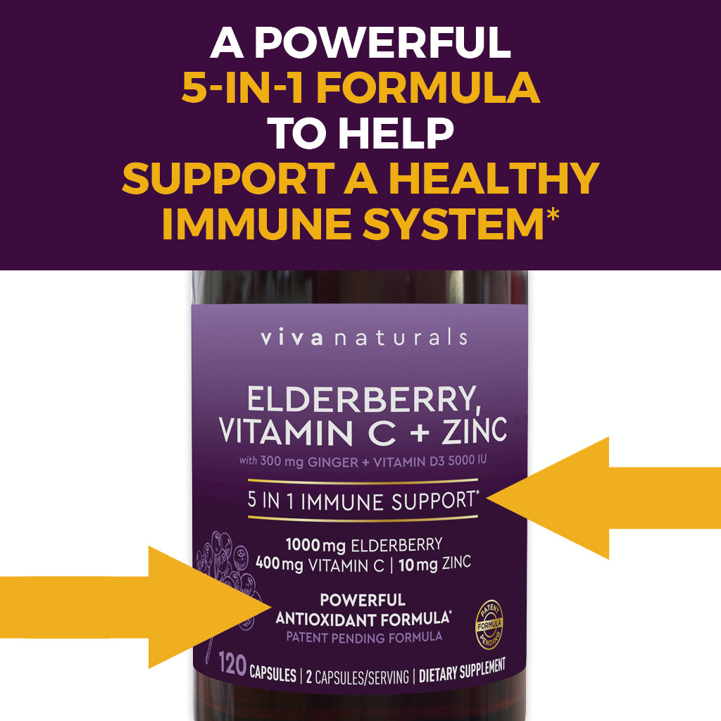 High-Quality Fish Oil Supplement – Viva Naturals